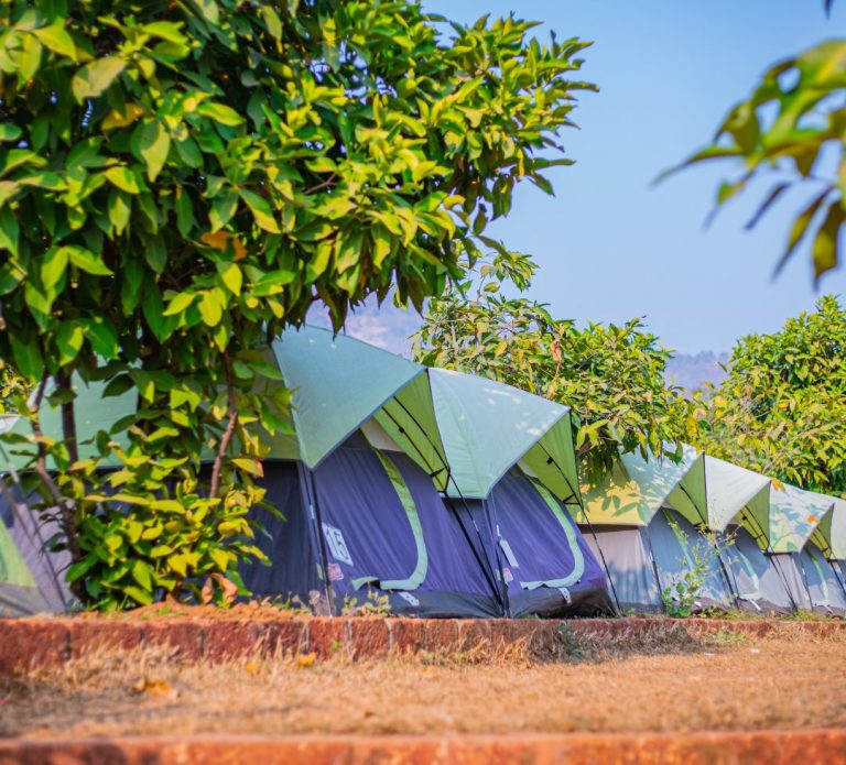 Camp Max Kalote - Official Booking Partner | Backpack Stays