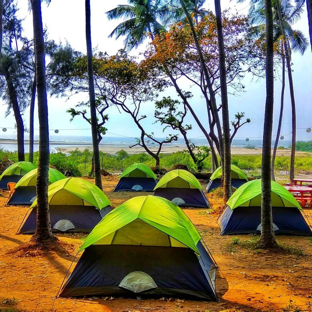 Camp Max Kalote - Official Booking Partner | Backpack Stays